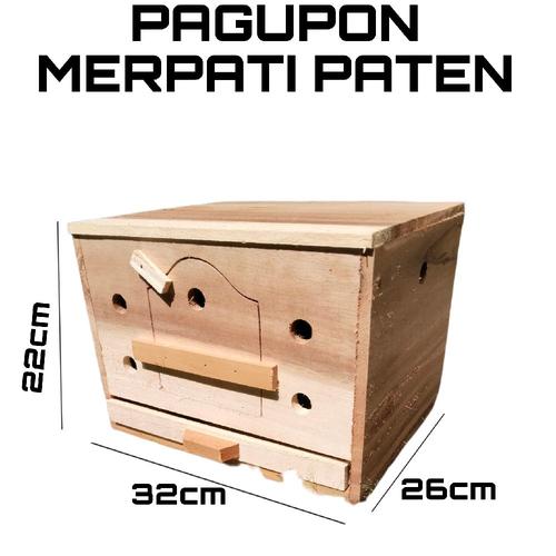 Jual Gupon merpati paten kayu pilihan - Kab. Klaten - DUA SERANGKAI 23 | Tokopedia