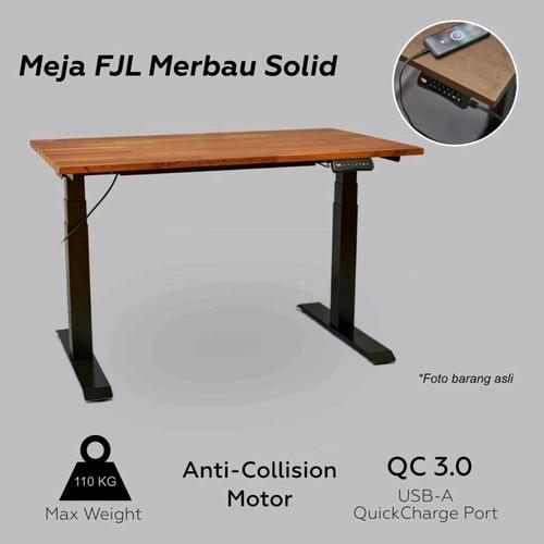 Jual FJL Meja Kerja Dual Motor Height Adjustable Desk Meja Naik Turun ...