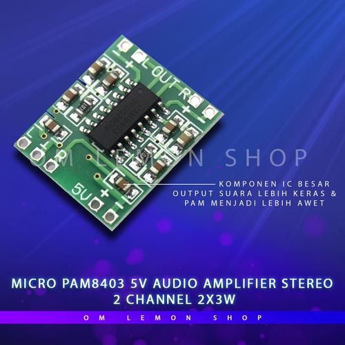 Jual Micro PAM8403 5V Audio Amplifier pam 8403 Stereo 2 Channel 3W ...