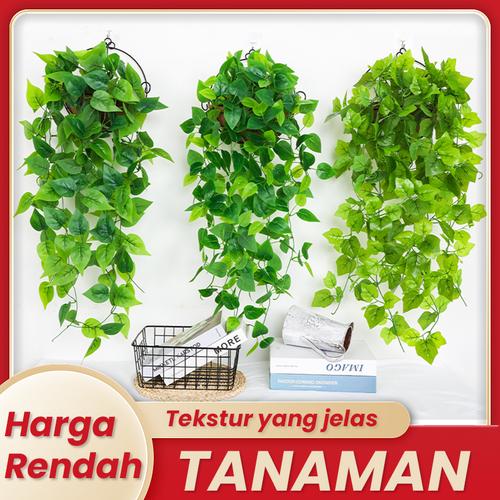 Promo Tanaman Gantung Tiruan Hoya Costa dari Bahan Sutra Plastik 90cm ...