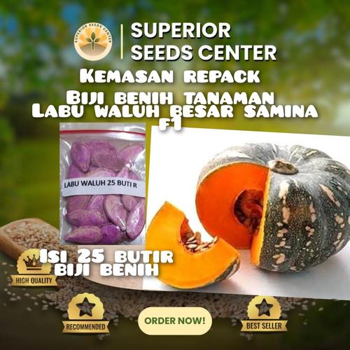 Jual 25 BUTIR BIJI BENIH TANAMAN labu waluh samina f1 (kemasan repack ...