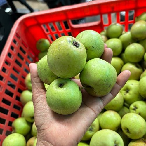 Jual Apel manalagi mini 1kg /isi 18-24 buah /apel malang fresh - Kota ...