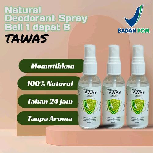 Promo Promo Beli 1 Dapat 6 deo organic 60 ml Penghilang Bau Badan ...