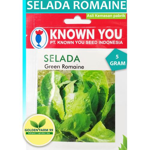 Jual Benih Selada Hijau Green Romaine Original Pack - Segar dan Bernutrisi - Tanaman - Jakarta ...