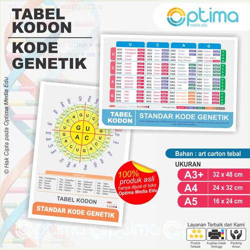 Jual TABEL KODON KODE GENETIK UNTUK Mata Pelajaran BIOLOGI SMA dan ...