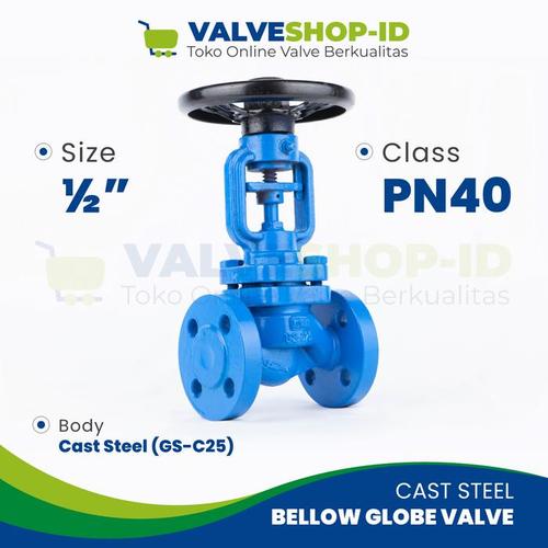 Jual Bellow Globe Valve DN15 1/2" Inch PN40 GS-C25 Cast Steel - Kota ...