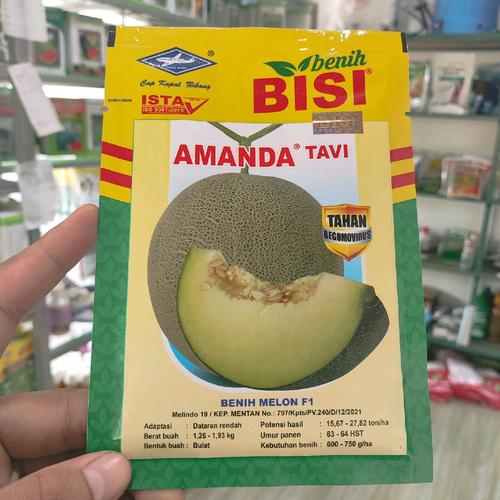 Jual Benih Buah Bibit Melon Madu Amanda Tavi F1 (Tahan Virus, Perawatan ...