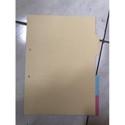 Jual Pembatas Selipan Kertas File Ukuran A4 Dokumen Pemisah Buku ...