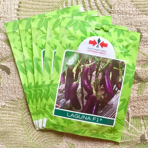 Jual Benih Bibit Terong Ungu LAGUNA F1 Panah Merah SP original packing - Kab. Tangerang - Simon ...