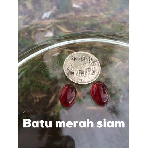 Jual Batu Merah Siam - Kab. Banjar - Pusaka Bahari Kalimantan | Tokopedia