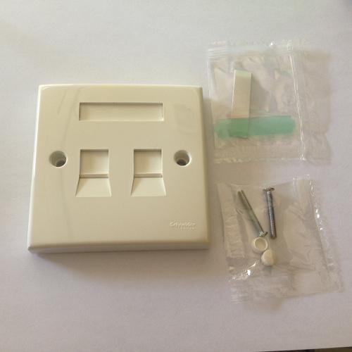 Jual Schneider Electric Digilink DCBRWPS2PSWT Faceplate 2 Lubang ...