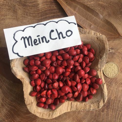 Jual (100gr/350biji) Biji Saga Merah Buah Saga Merah Dekorasi Rustik ...
