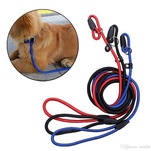 Jual Dog Leash Large / Tali Tuntun Anjing Besar - Kota Tangerang ...