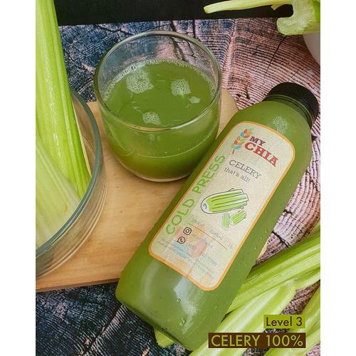 Jual Level 3: Celery Juice (jus seledri) 500ml 100% Raw Pure Cold Pressed - celery 100% ...