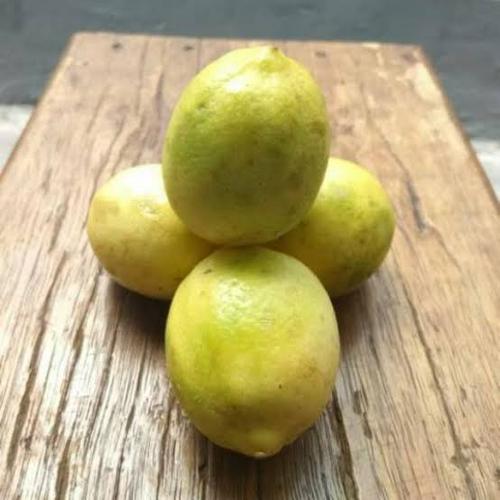 Jual SayurHD sayur segar jeruk lemon lokal per 250gr - Jakarta Utara ...