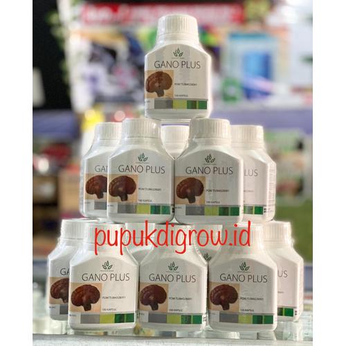 Jual GANO Plus (GANODERMA LUCIDUM) 100 KAPSUL / OBAT DIABETES KRONIS ...
