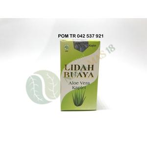 Jual Lidah Buaya Aloe Vera Kaplet Lu Hui Run Chang Thung Pien Wan ...