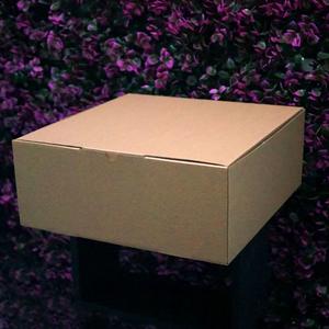 Jual Kotak Packaging Polos Tinggi 30 x 30 x 12 cm - Pizza Box - Kotak ...