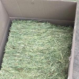 Jual Jerami | Rumput Kering |Hay| Kelinci | Alas Kandang 250gr First ...