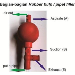 Jual Pipette Filler D&N - Bola Hisap Pipet Hisap - Rubber Bulb Pipette ...