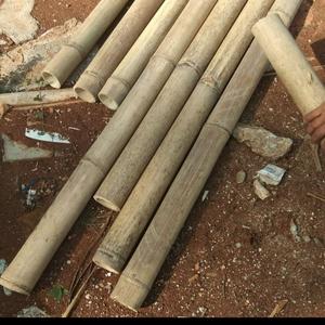 Jual bambu panjang 1 meter/untuk kandang ayam dan bangunan - Jakarta ...