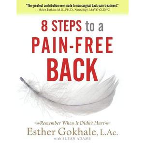 Jual 8 Steps to a Pain-Free Back: Natural Posture Solutions for Pain in ...