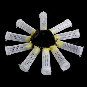 Jual 10 Set Beekeeping Rearing Cup Kit Bee Queen Cages Roller Beekeeper ...