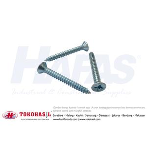 Jual Sekrup / Skrup Tapping (Screw) FH #12x2 1/2" - putih - Jakarta ...