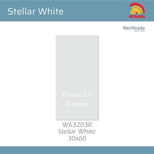 Jual ROMAN KERAMIK Stellar White 30x60R W63203R (ROMAN House of Roman ...