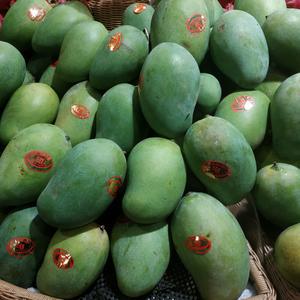 Jual Mangga Harum Manis / Mangga Suluhan / Masak pohon 1 kg - Jakarta ...