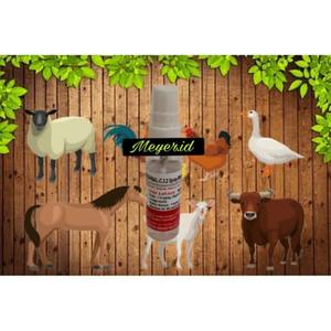 Jual Respinal C3.2 Spray Meyer 10ML - Obat STAMINA daya pacu kuda ...