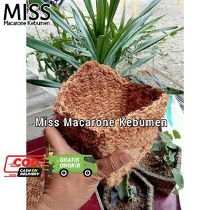 Jual Pot anggrek sabut kelapa / Pot bunga serabut kelapa - Kab. Kebumen ...