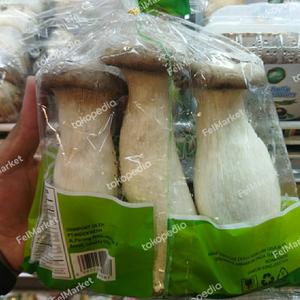 Jual jamur king oyster Korea | jamur fresh king oyster | pack - Jakarta ...