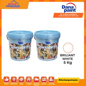 Jual CAT TEMBOK ACRYLIC COPOLYMER DANABRITE 281-2290 BRILLIANT WHITE ...