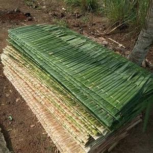 Jual ATAP GAZEBO~ATAP DAHON~ATAP DAUN RUMBIA - Kab. Bogor - Tanaman ...