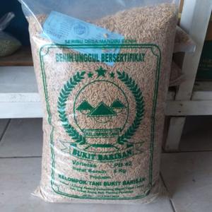 Jual BENIH PADI IR 42 BUKIT BARISAN ASLI SUMATERA BARAT 1KG wastdu ...