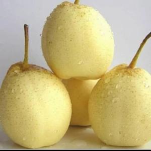 Jual BUAH PEAR SEGAR 1kg - Kota Bogor - Angkasa Fresh Market | Tokopedia