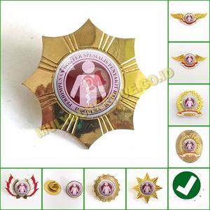Jual Bros Pin Wing PAPDI Logo Perhimpunan Dokter Spesialis Penyakit ...