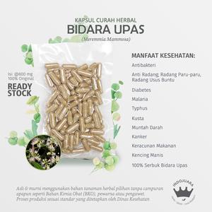 Jual BIDARA UPAS 100 Kapsul Herbal Muntah Darah Syphilis ASI Hati ...