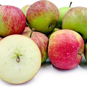 Jual Apel Malang Cherry 1kg - Jakarta Barat - Freshmart23 | Tokopedia