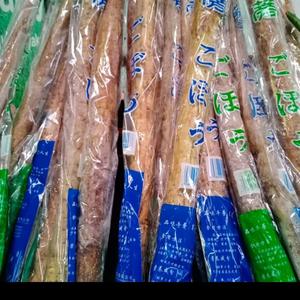 Jual Akar Gobo / Ketela Jepang / Burdock root - Jakarta Barat ...