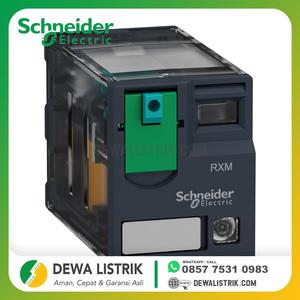 Jual [ RXM3AB2BD ] Schneider - RXM MINIATURE RELAY 24 VDC - Jakarta ...