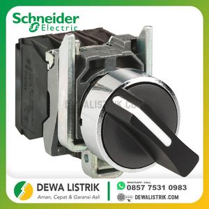 Jual [ XB4BD41 ] Schneider - SELECTOR SWITCH BESI / METAL 2 POSISI ...