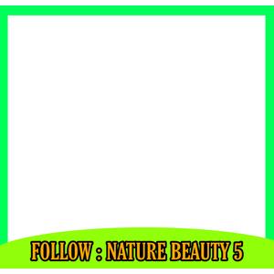 Jual 709H Hart Loop Calibrator Meter,Source,HART Communication,Loop ...