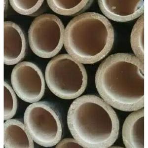 Jual POTONGAN BAMBU KUNING BESAR 50 CM - 30cm - Kota Surabaya ...