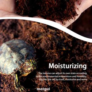 Jual Natural Warm Soil Coconut Fiber Spider Centipede Reptile Substrate ...