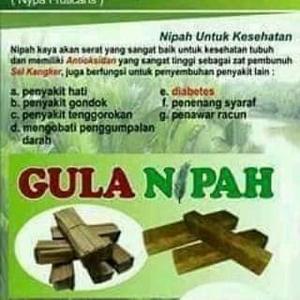 Jual gula nira - gula dahon - gula nipah 250gr - Kab. Bogor - OUTLET ...