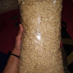 Jual SEKAM PADI 500 GRAM MERANG MEDIA TANAM ALAS KANDANG KOLAM - Kab ...