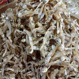 Jual Teri Bunga - 100 gr - Jakarta Utara - SAYURAN SEGAR BANG JALI ...