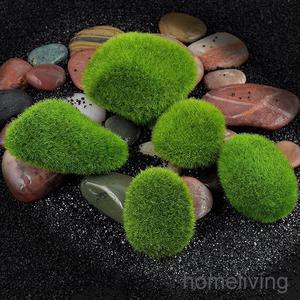 Jual Tanaman Aquascape/Terrarium Marimo Moss Ball Rumput Artificial ...